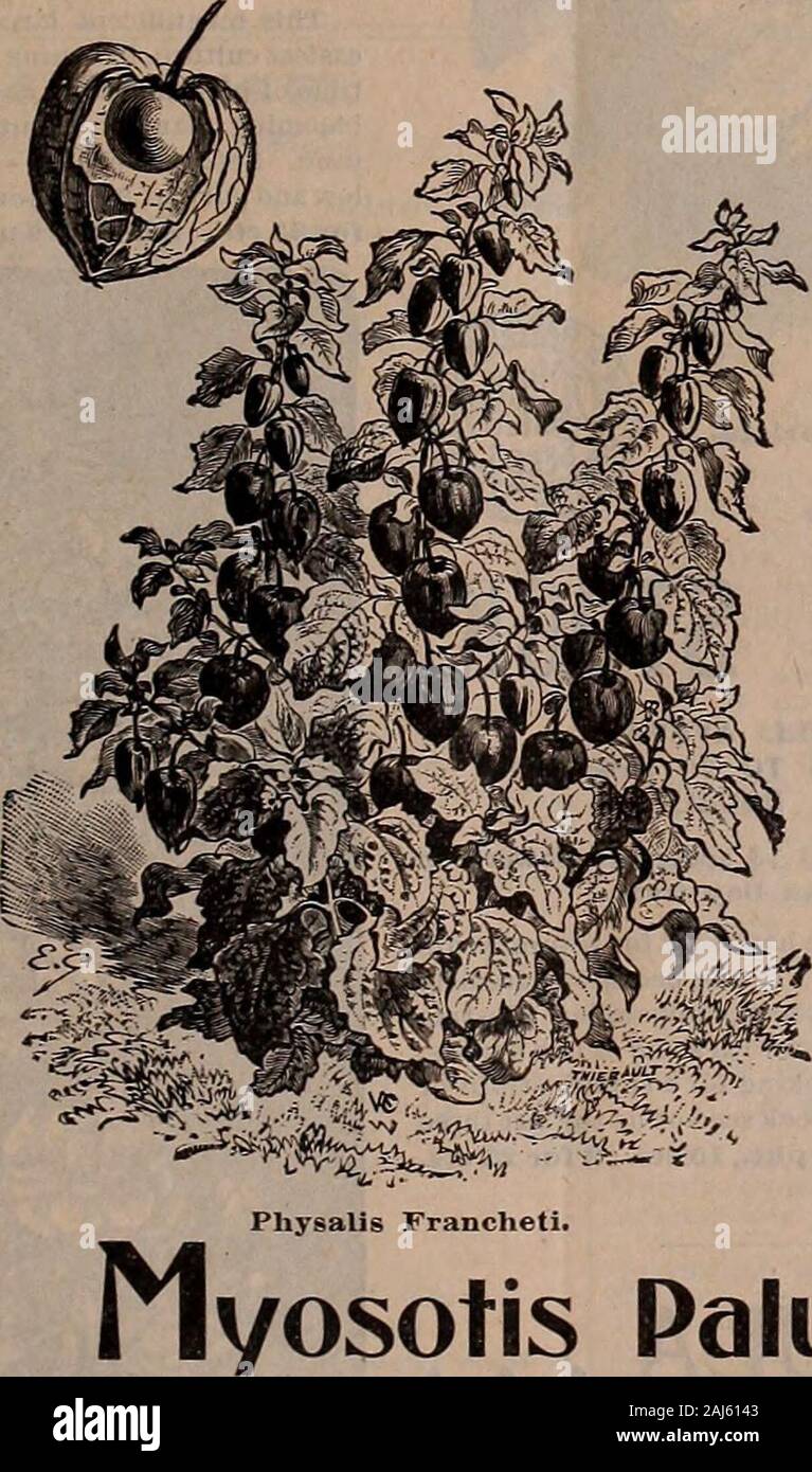 W rawson hi-res stock photography and images - Alamy