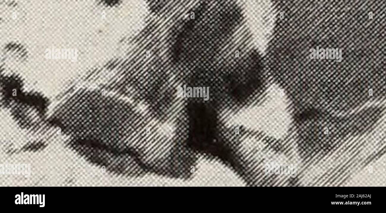 Annals of the South African Museum = Annale van die Suid-Afrikaanse ...