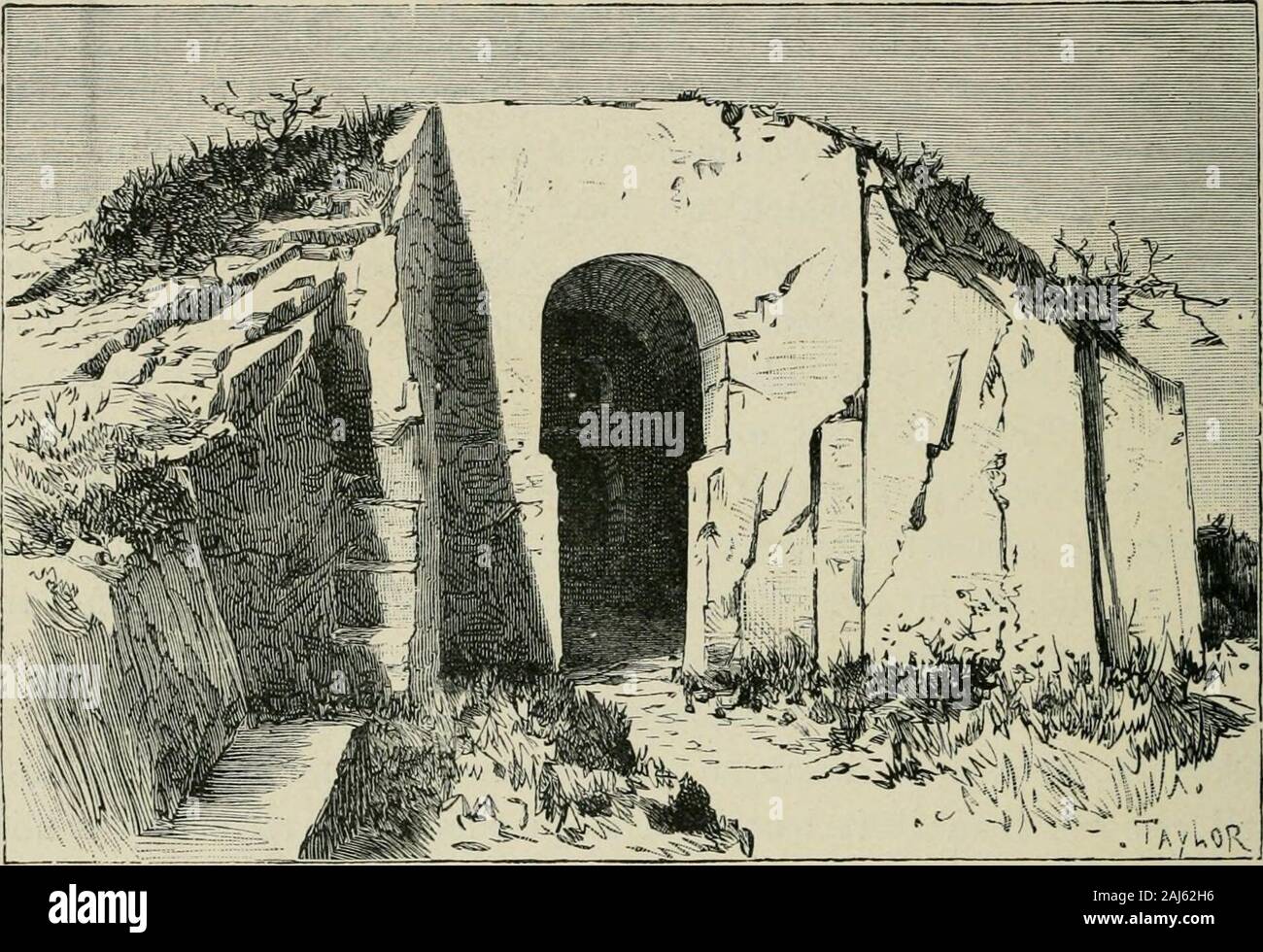 Tertullian hi-res stock photography and images - Alamy