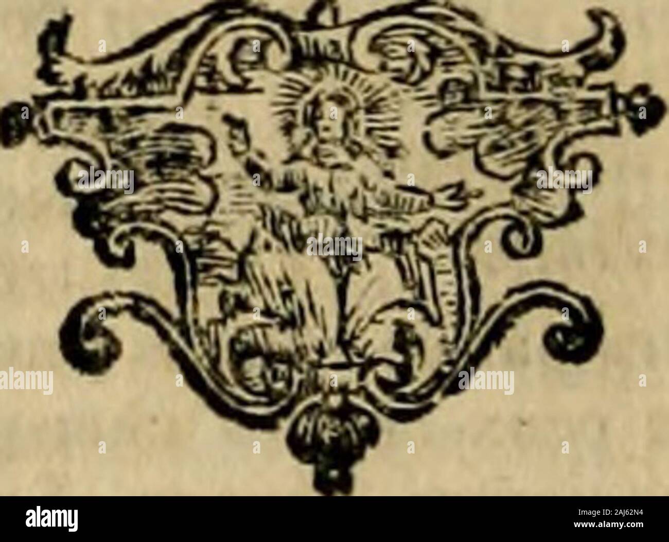 Necrobie hi-res stock photography and images - Alamy