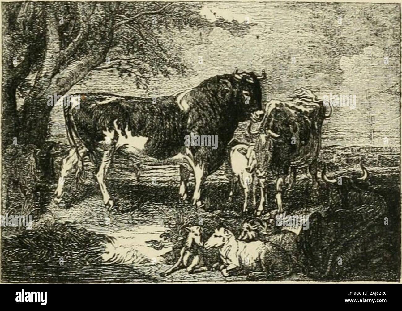 Hague 1849 hi-res stock photography and images - Alamy