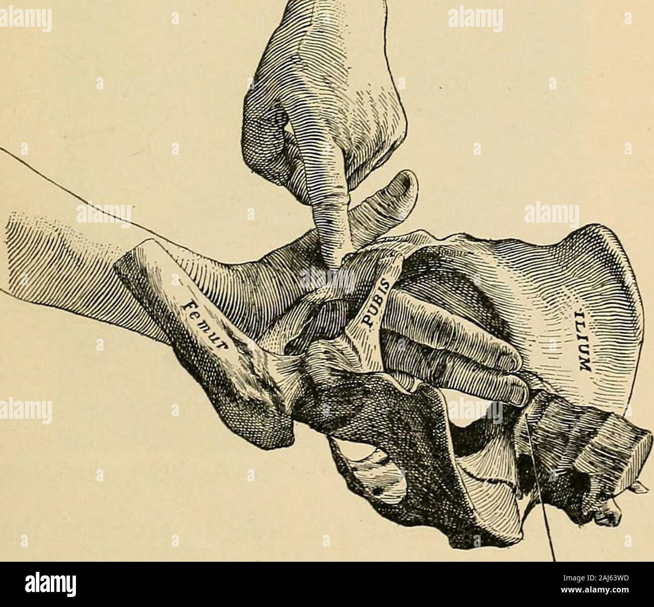 Lithotomy position hi-res stock photography and images - Alamy