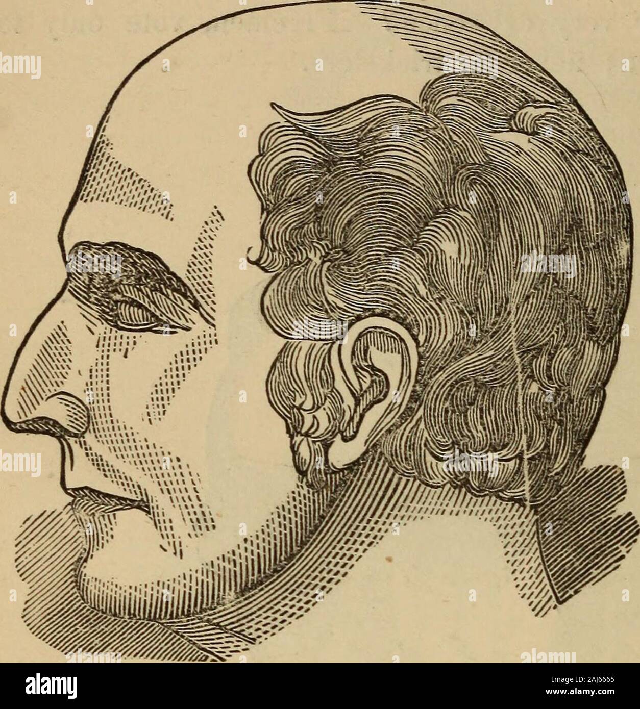 Round guttural hi-res stock photography and images - Alamy