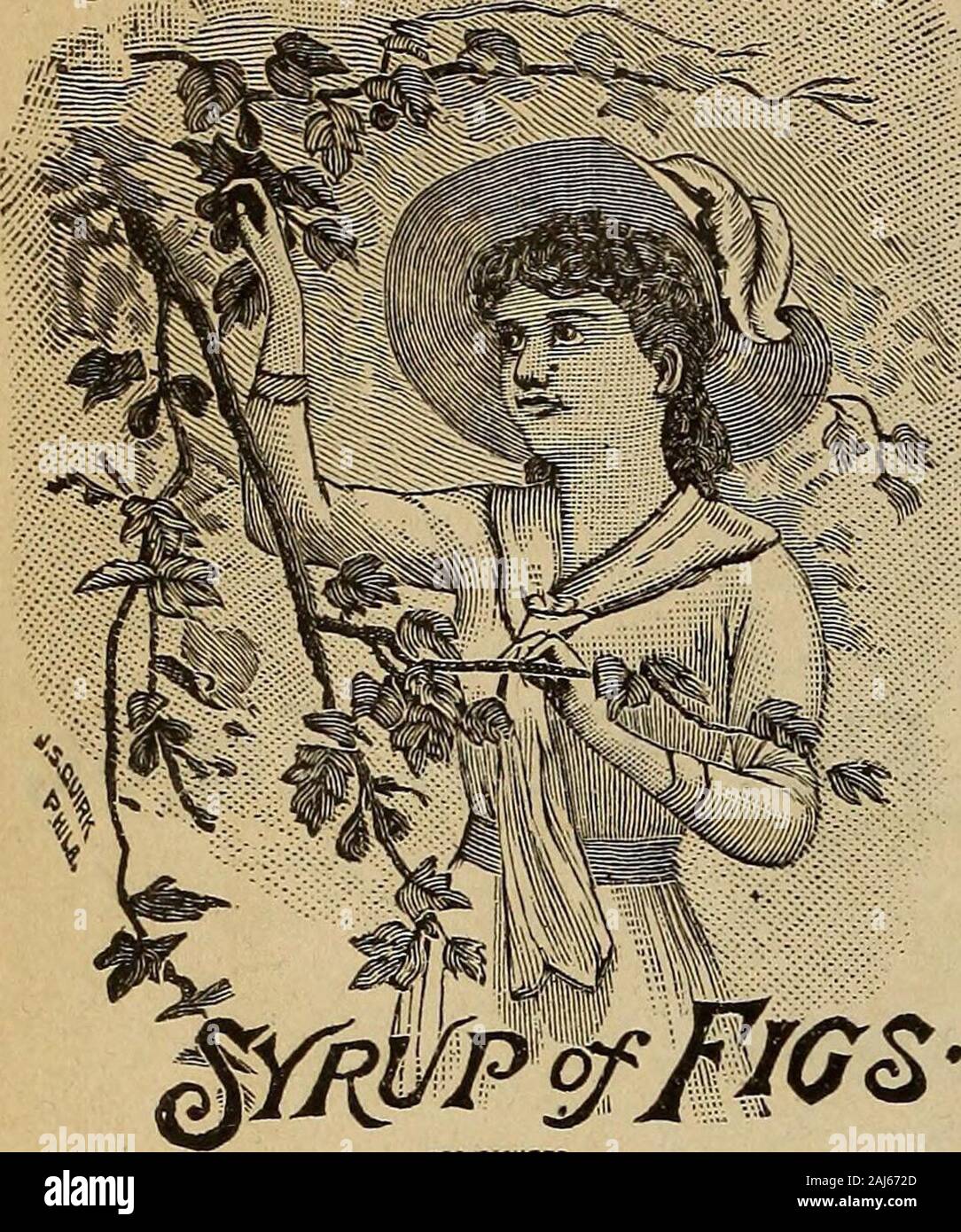 California syrup of figs hi-res stock photography and images - Alamy