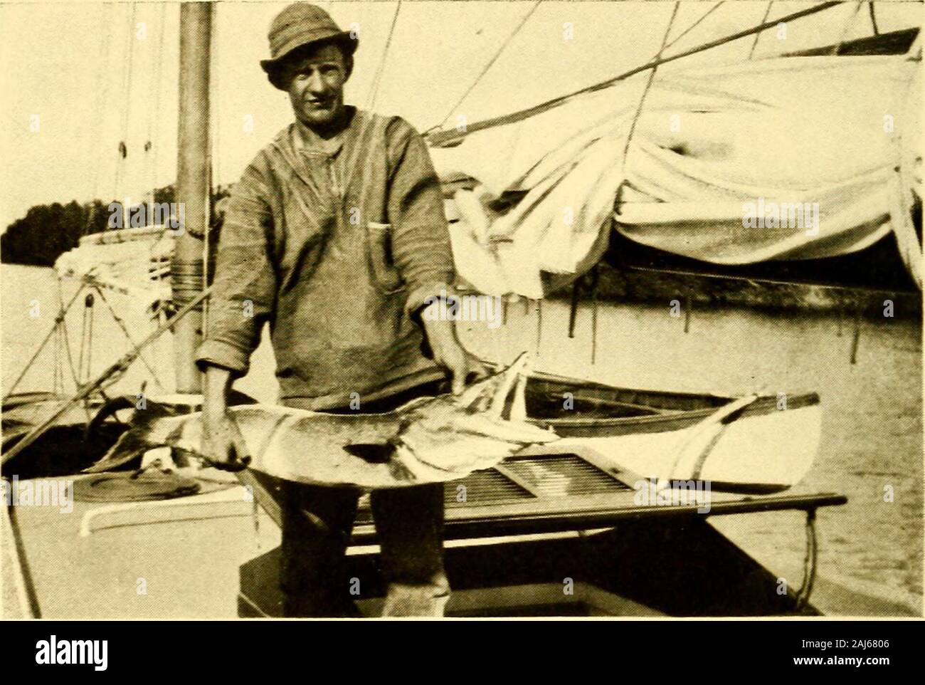 Barracouta hi-res stock photography and images - Alamy