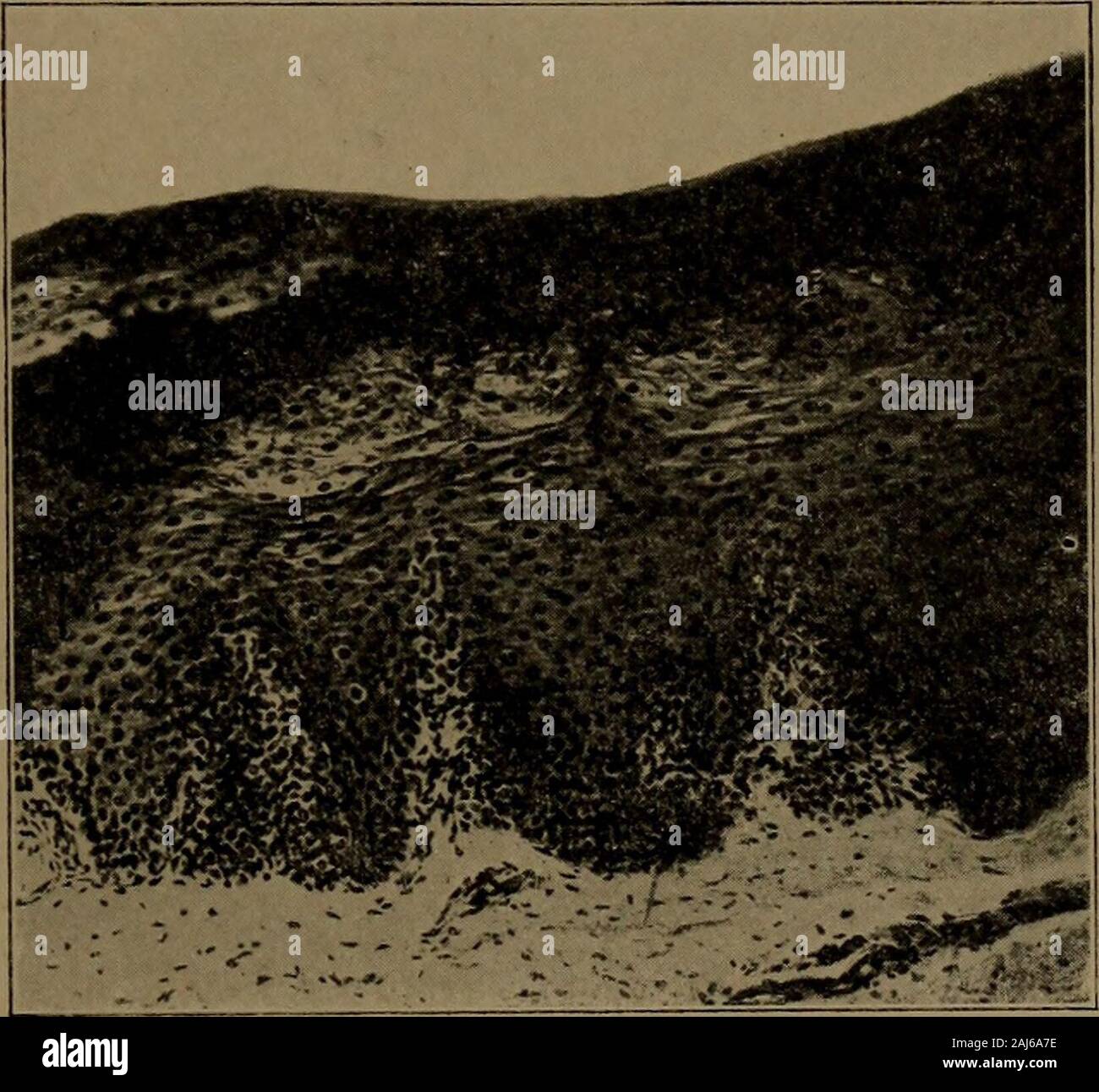 A text-book of dental histology and embryology, including laboratory ...