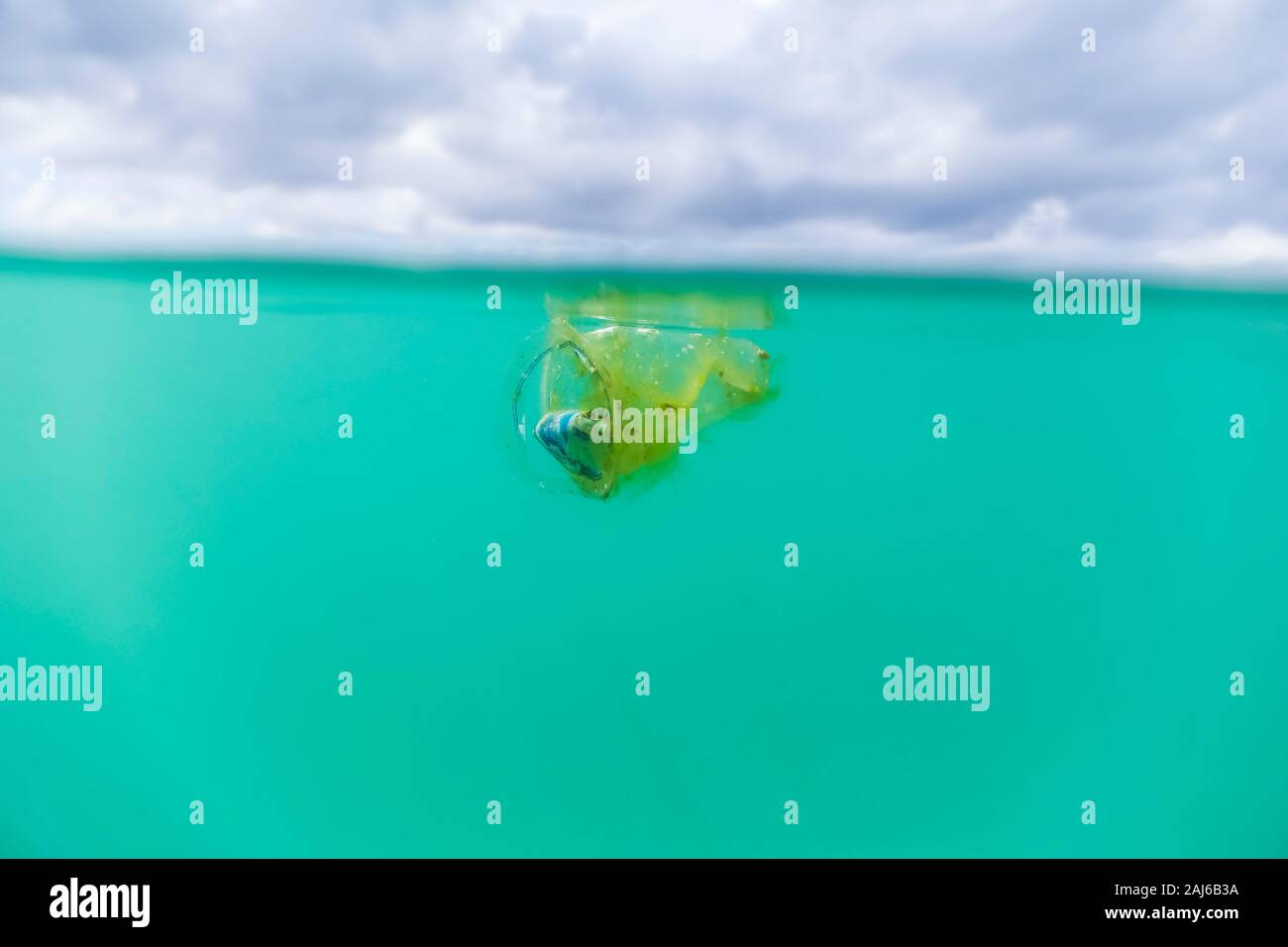 Ocean plastic trash surface water hi-res stock photography and images ...