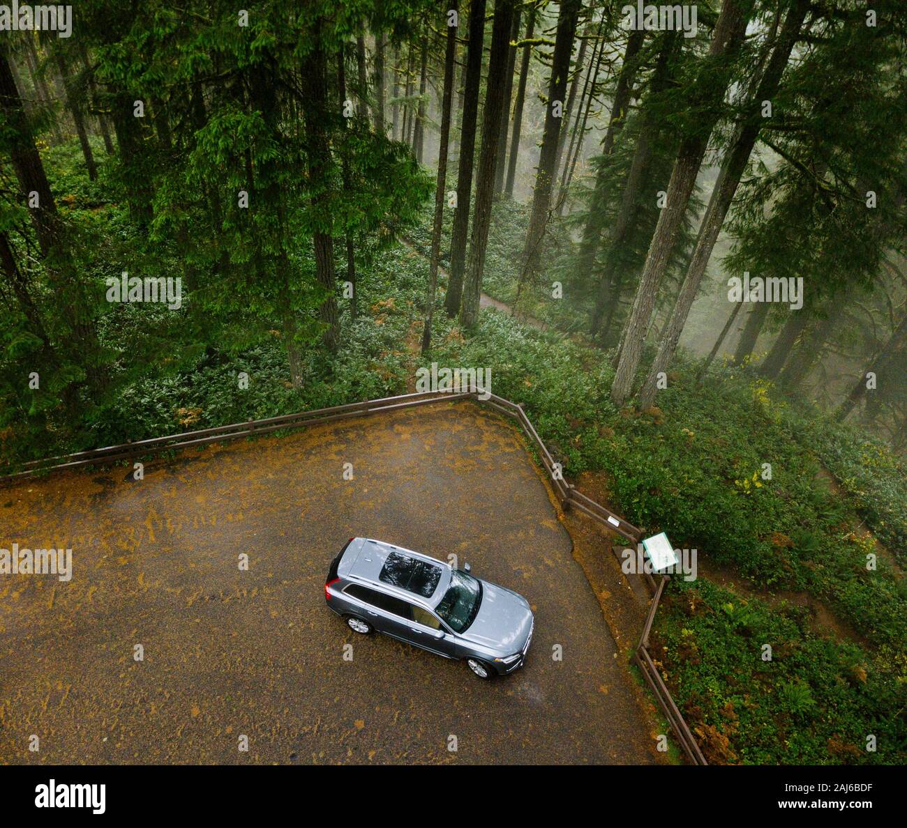 SUV automobile parked at pull off on forest road Stock Photo - Alamy