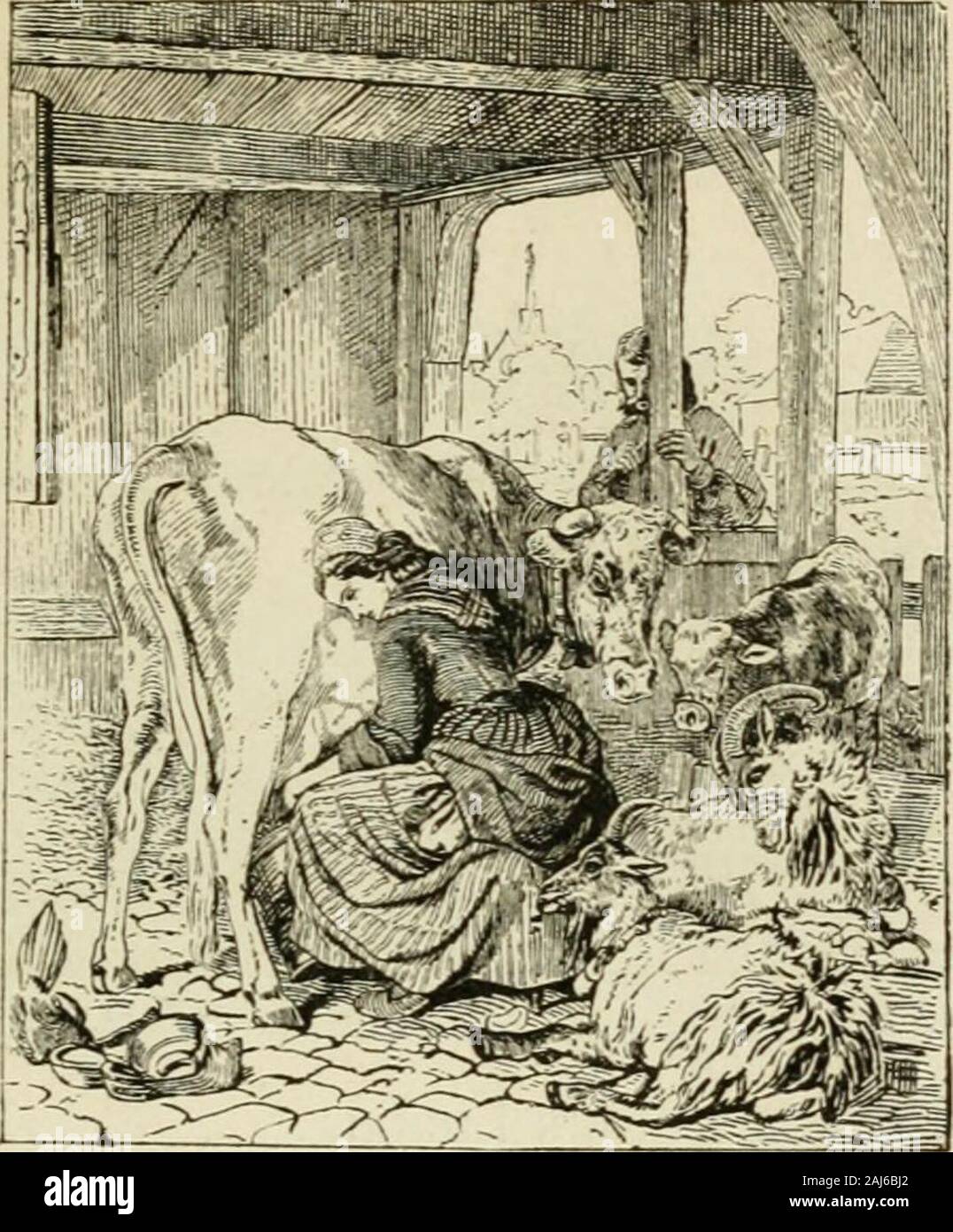 Lord northwicks picture gallery hi-res stock photography and images - Alamy
