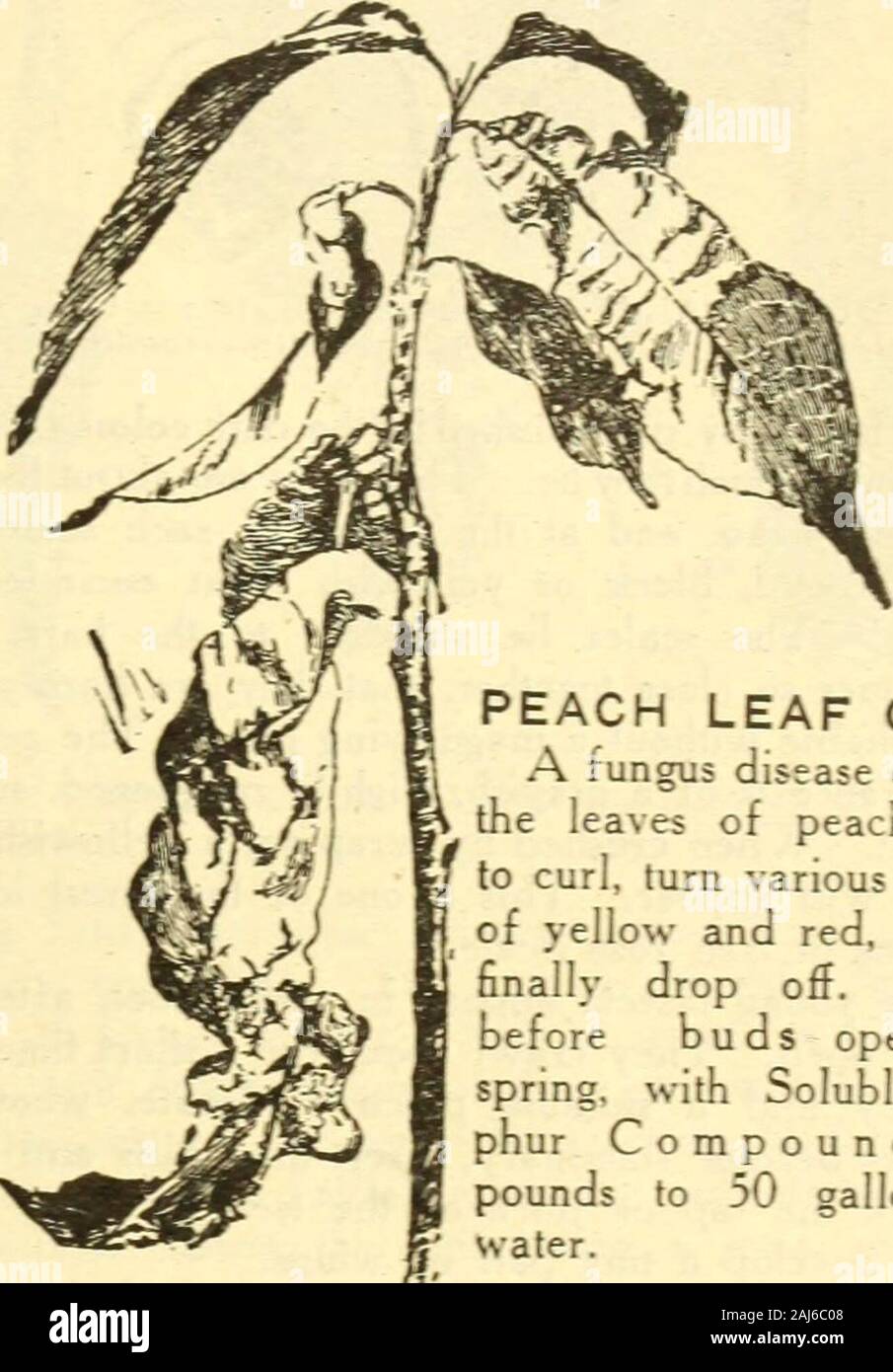 10 pounds scale hi-res stock photography and images - Alamy