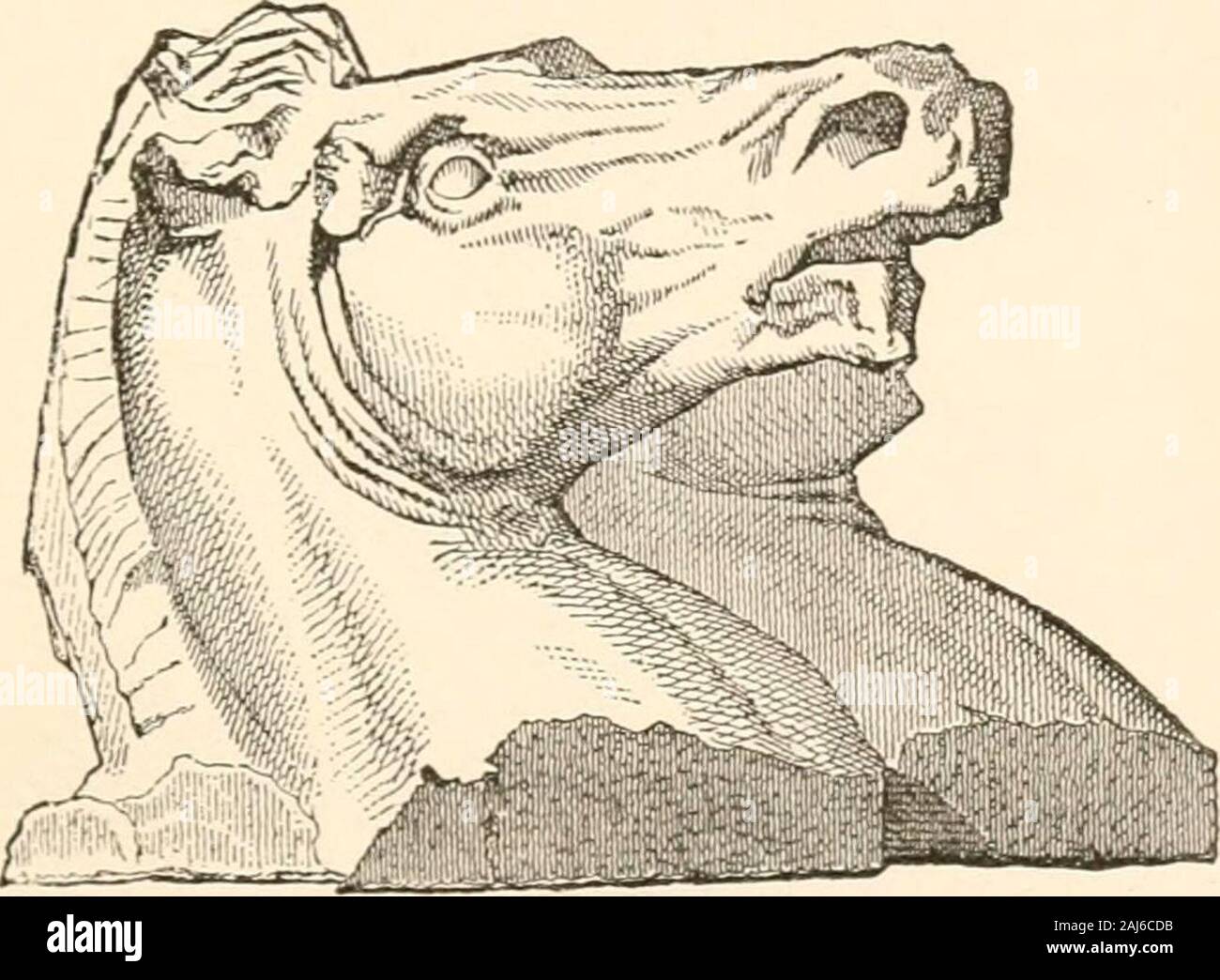 Intwo hi-res stock photography and images - Alamy