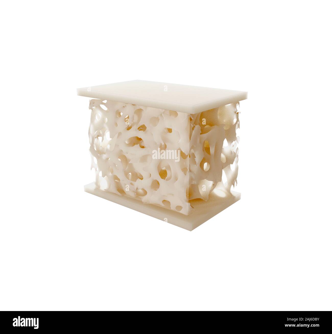 Digital illustration bone structure Stock Photo - Alamy