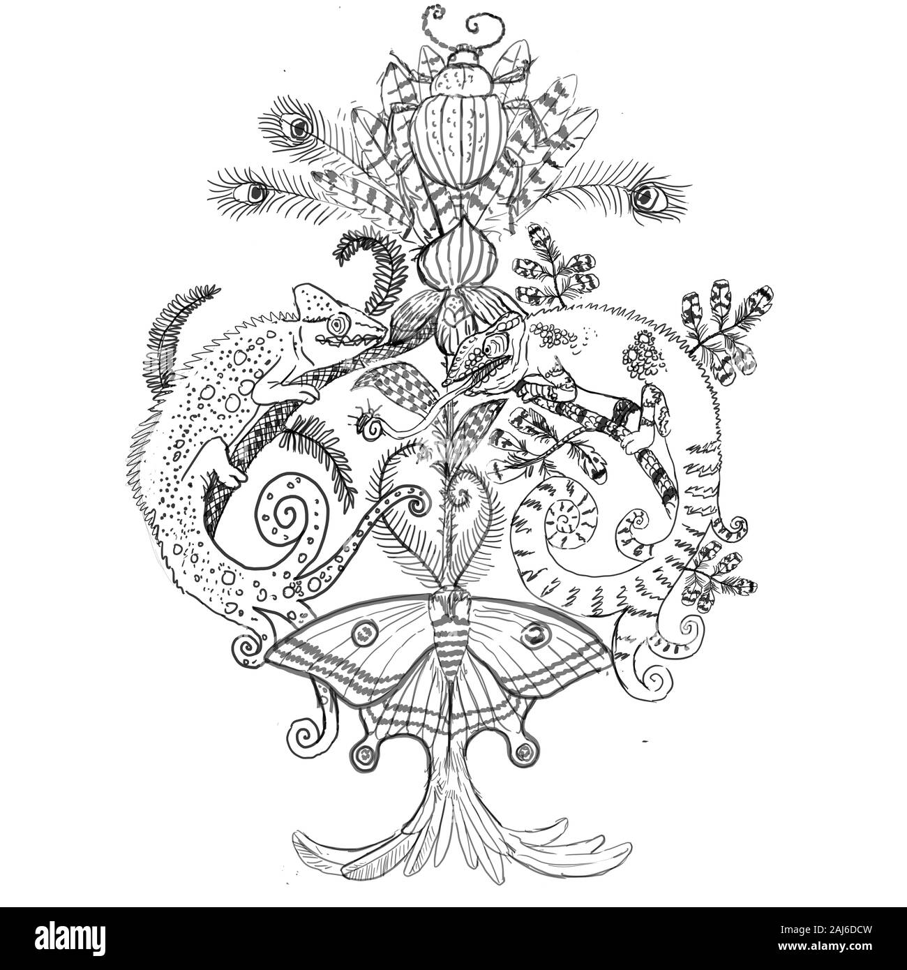 Hand drawn animal skin Black and White Stock Photos & Images - Alamy