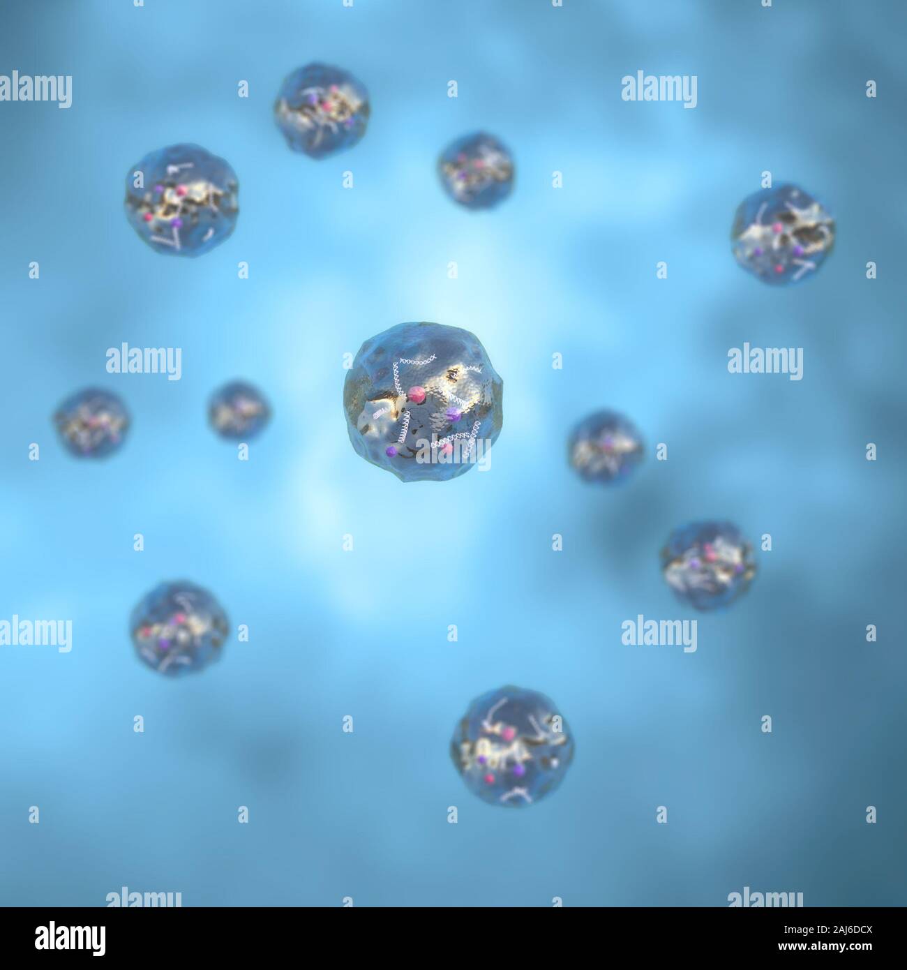 Vesicles hi-res stock photography and images - Alamy