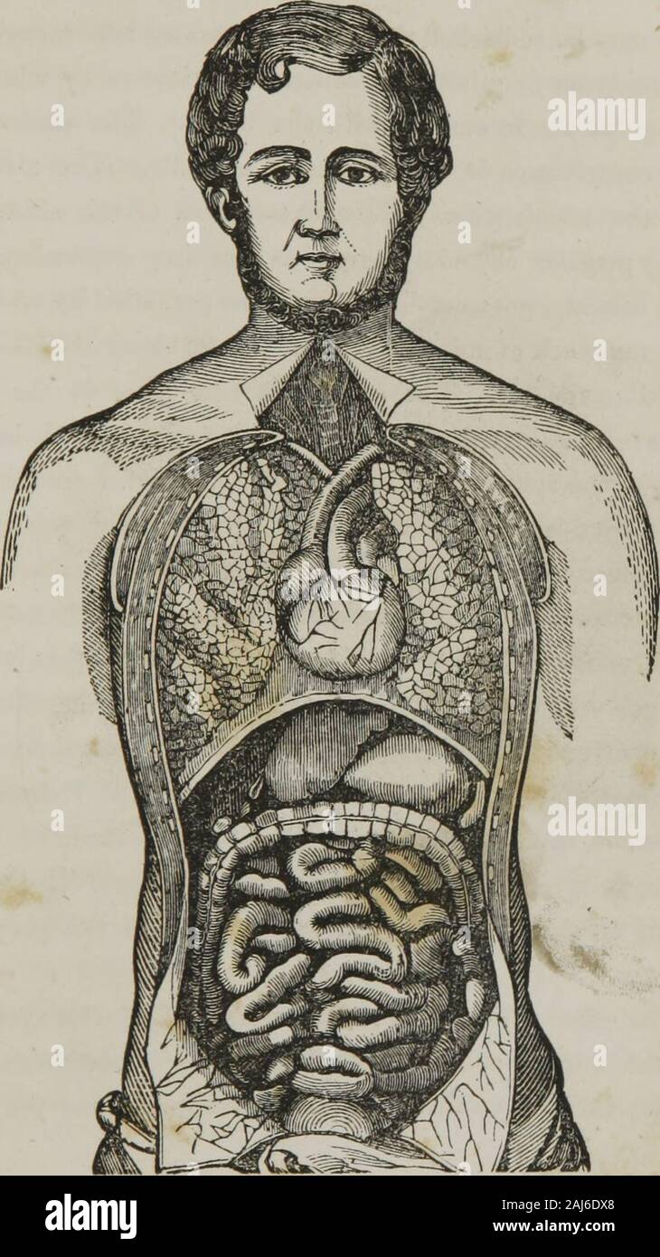 Mechanical contrivance hi-res stock photography and images - Alamy