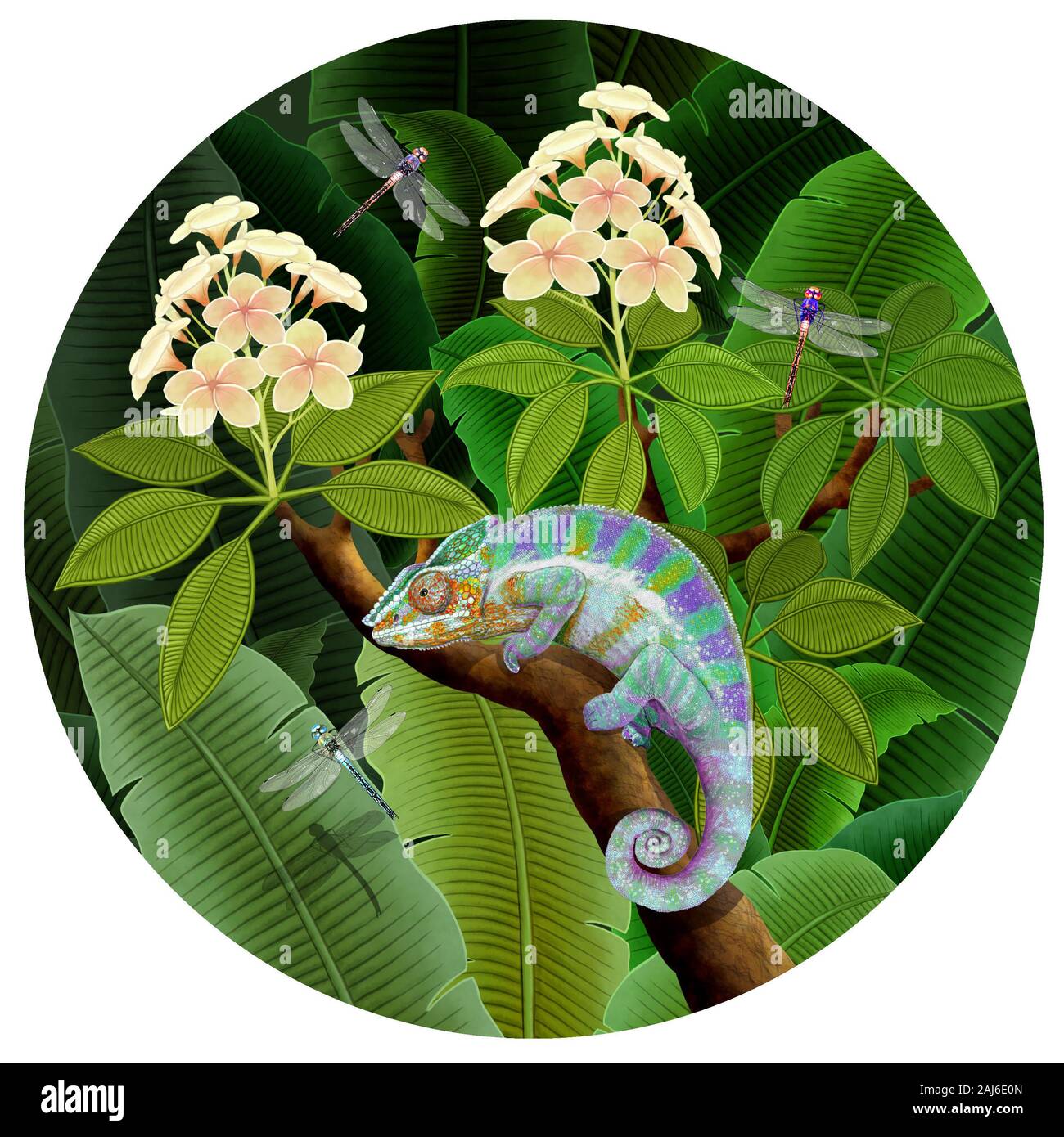 chameleon full color digital illustration Stock Photo - Alamy