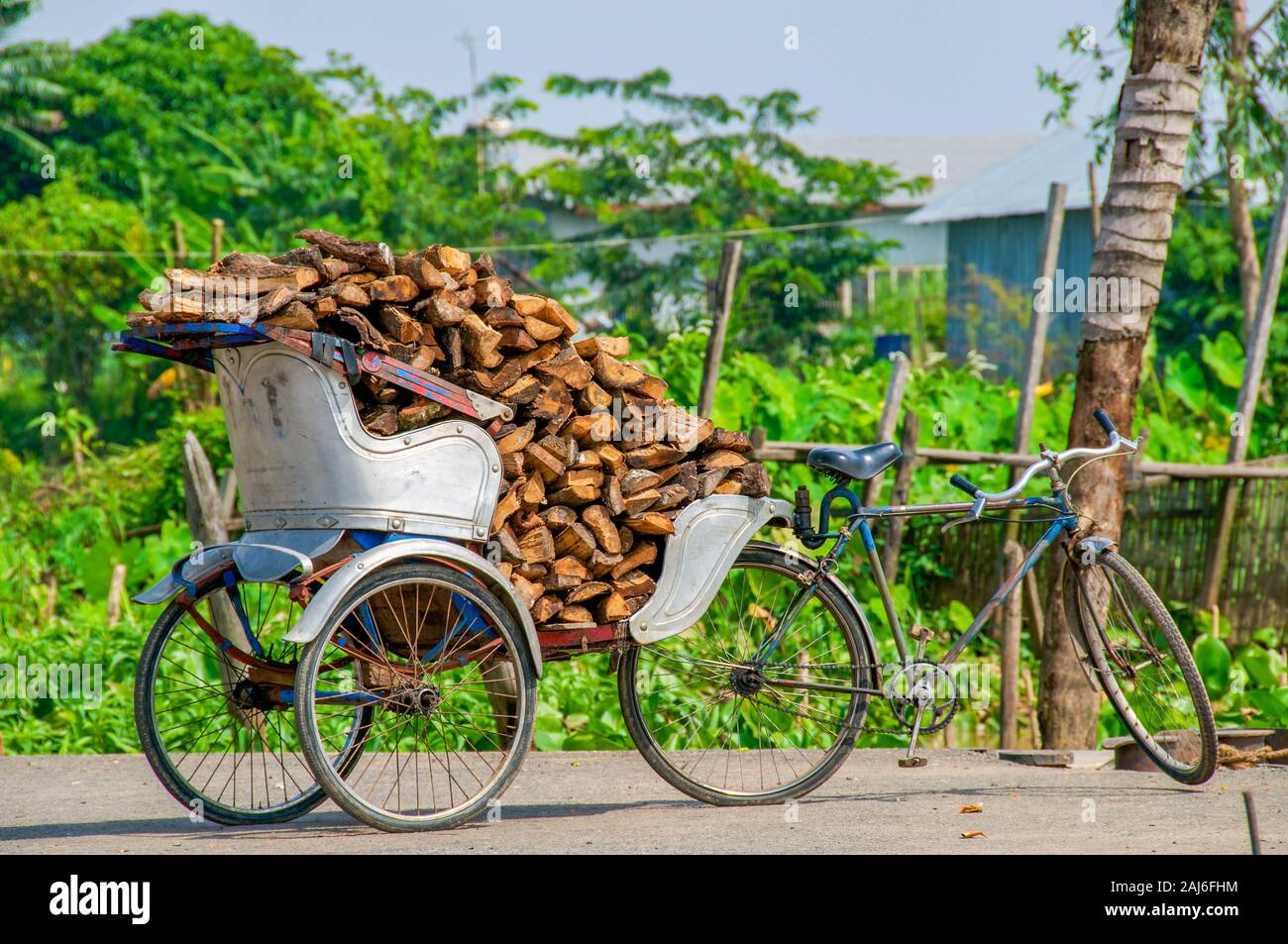 Traditional Vietnamese tricycle (known as 'cyclo') loaded with chopped ...