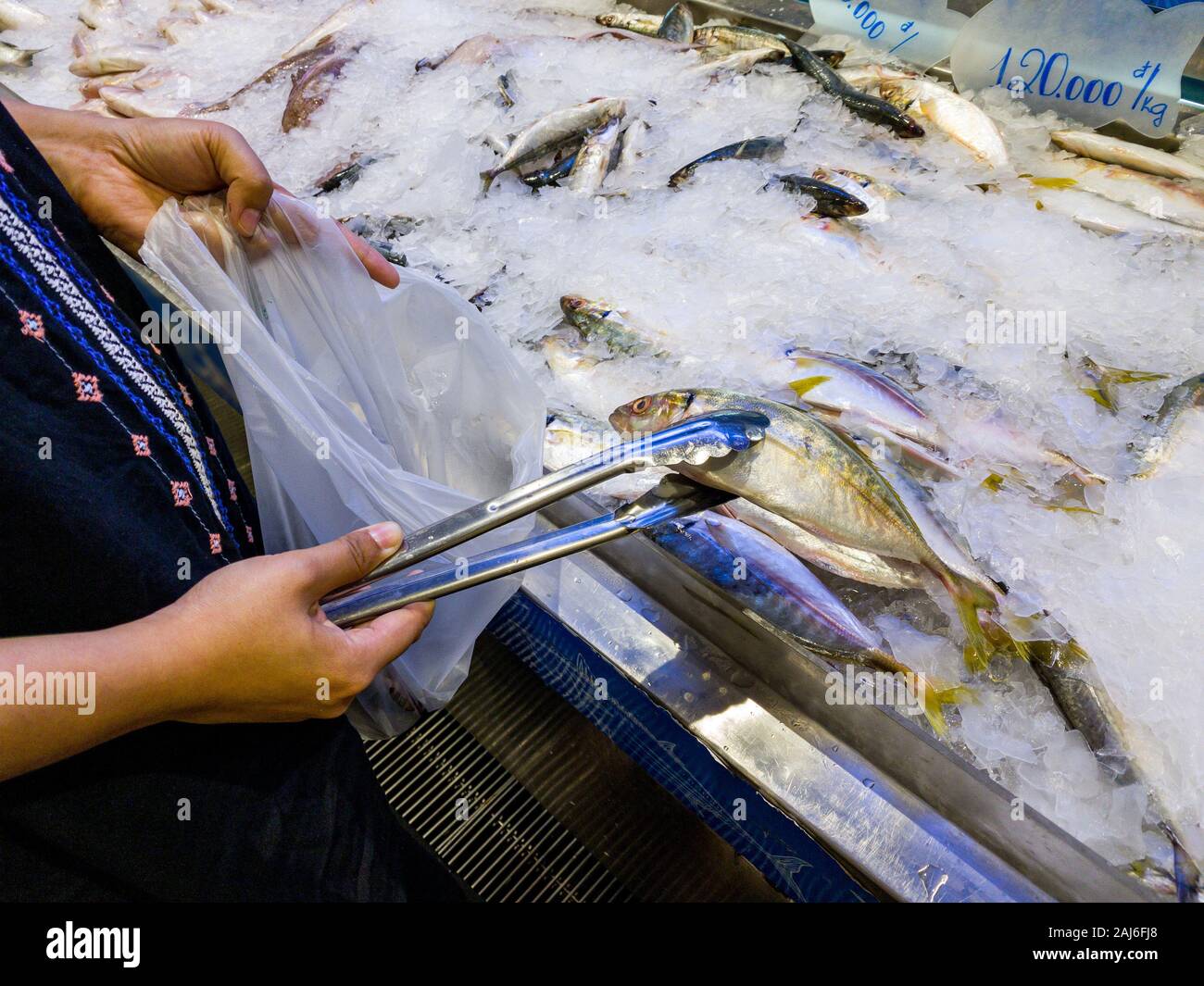 Woman hand using tongs picking frozen fish at seafood market Stock ...