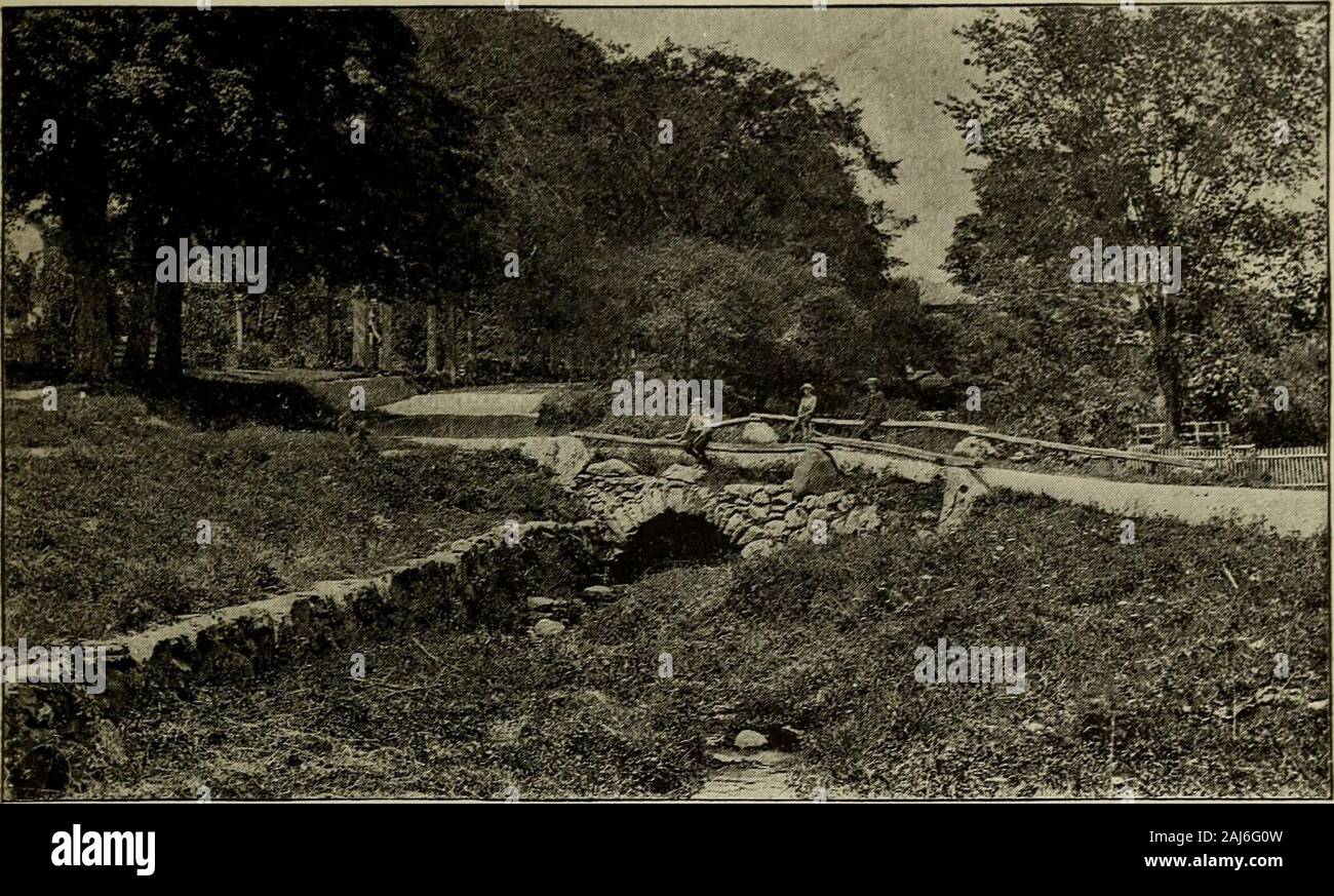 Long Neck Battlefield