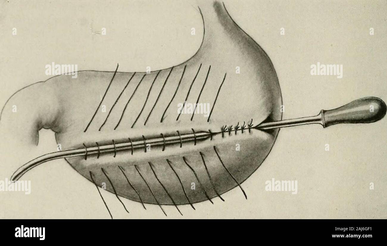 No drugs students hi-res stock photography and images - Alamy