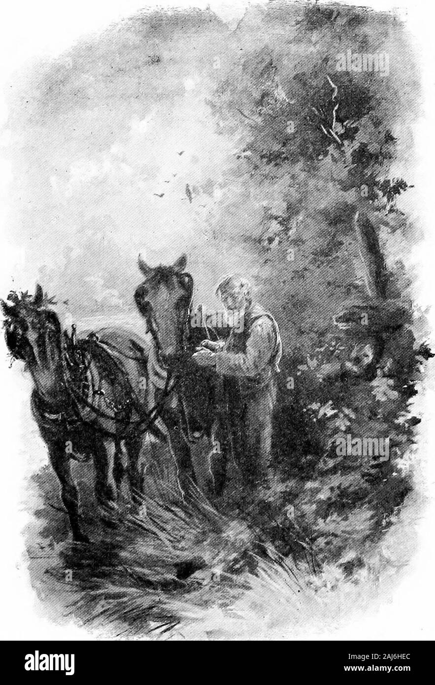 Robin Riley High Resolution Stock Photography and Images - Alamy