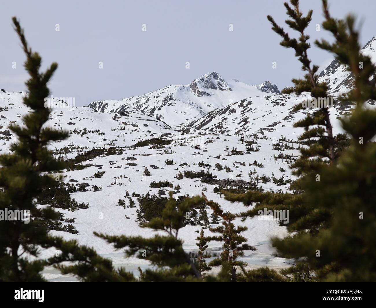 Yukon mountain range Stock Photo - Alamy