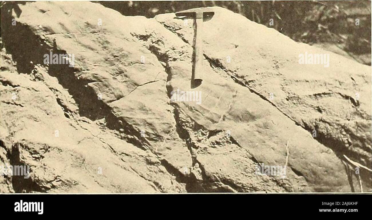 Quartz diorite hi-res stock photography and images - Alamy