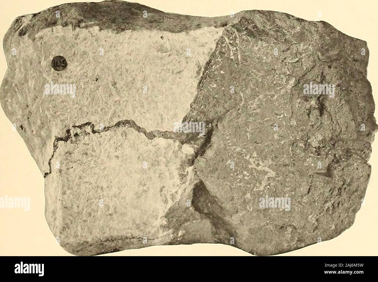 The Philippine journal of science . ^A Fig. 1. Granular magnetite in ...