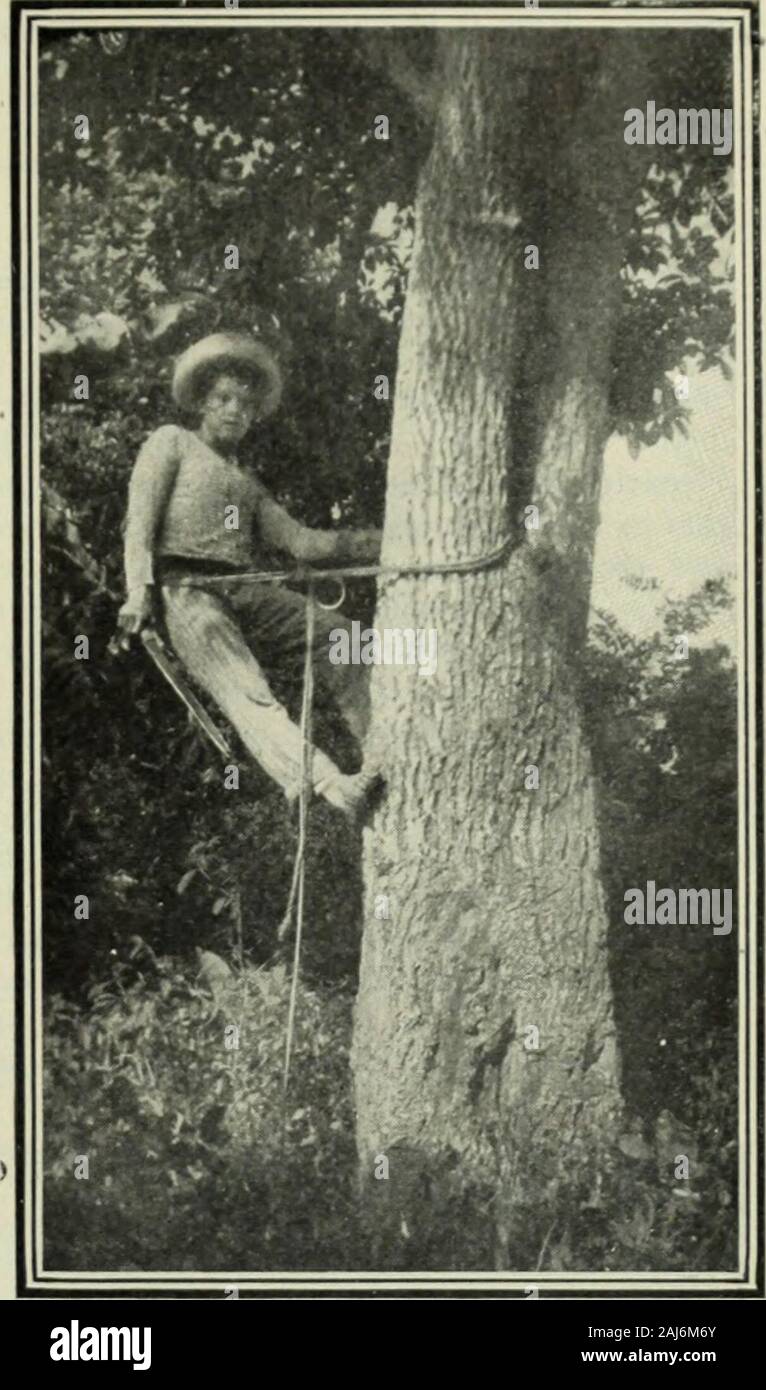 Bleeding from your bottom hi-res stock photography and images - Alamy