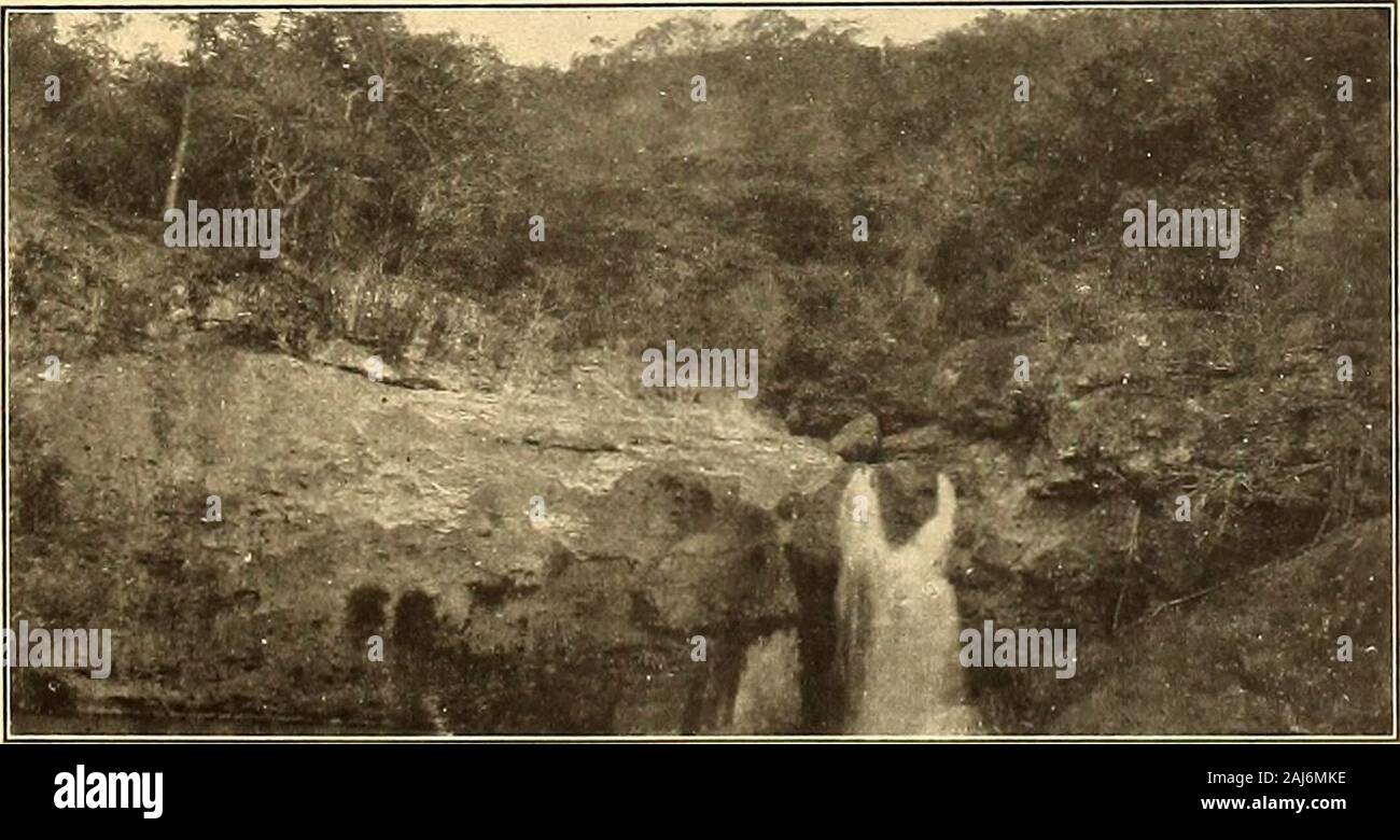 The Philippine journal of science . Fig. 2. Typically forest-covered ...