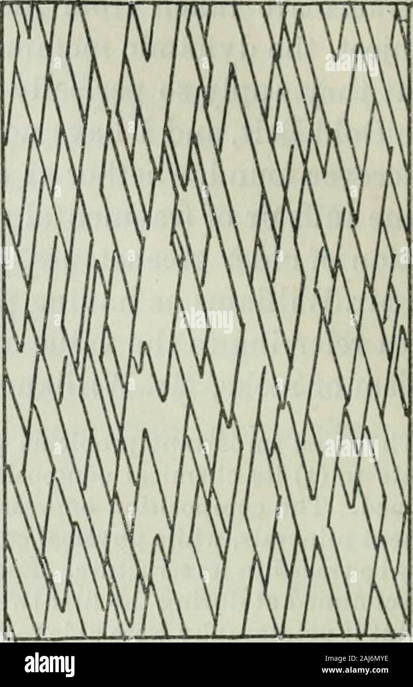 Mother lode hi-res stock photography and images - Alamy