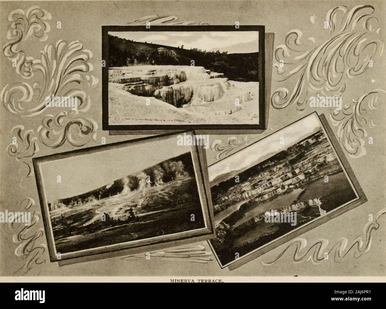 Yellowstone National Park illustrated . MINERVA TERRACE GEYSER HILL ...