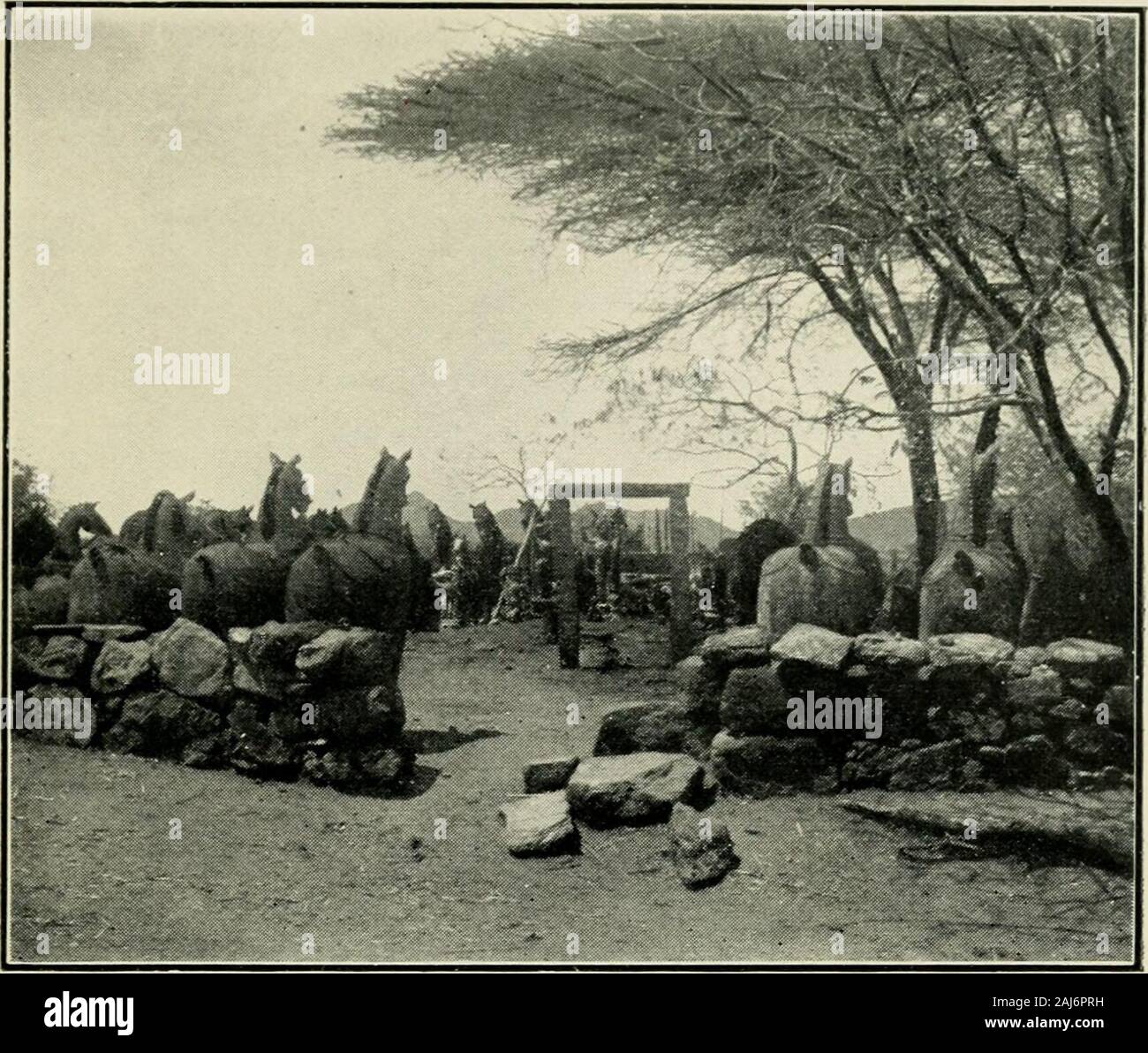 Early missionaries hi-res stock photography and images - Alamy