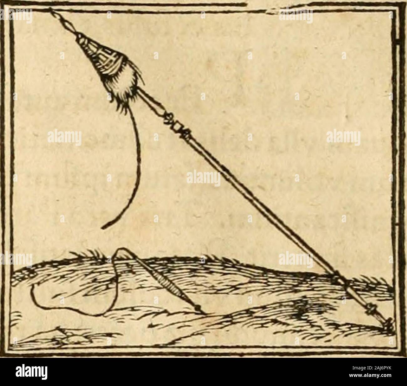 Firmamentum hi-res stock photography and images - Alamy