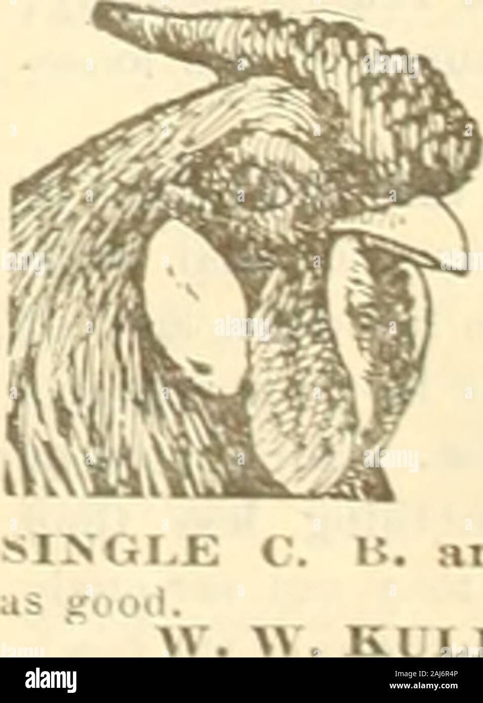 Hldg hi-res stock photography and images - Alamy