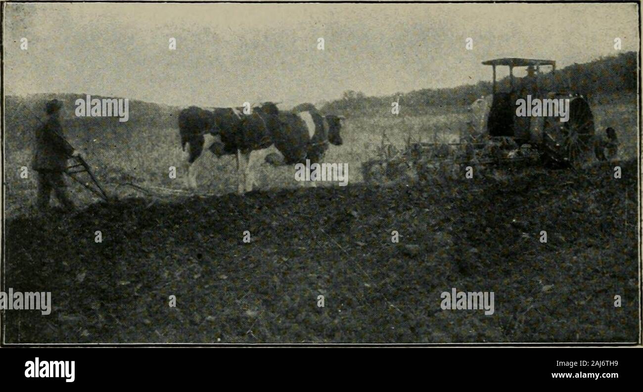 A simple explanation of many everyday problems in farm hi-res stock ...
