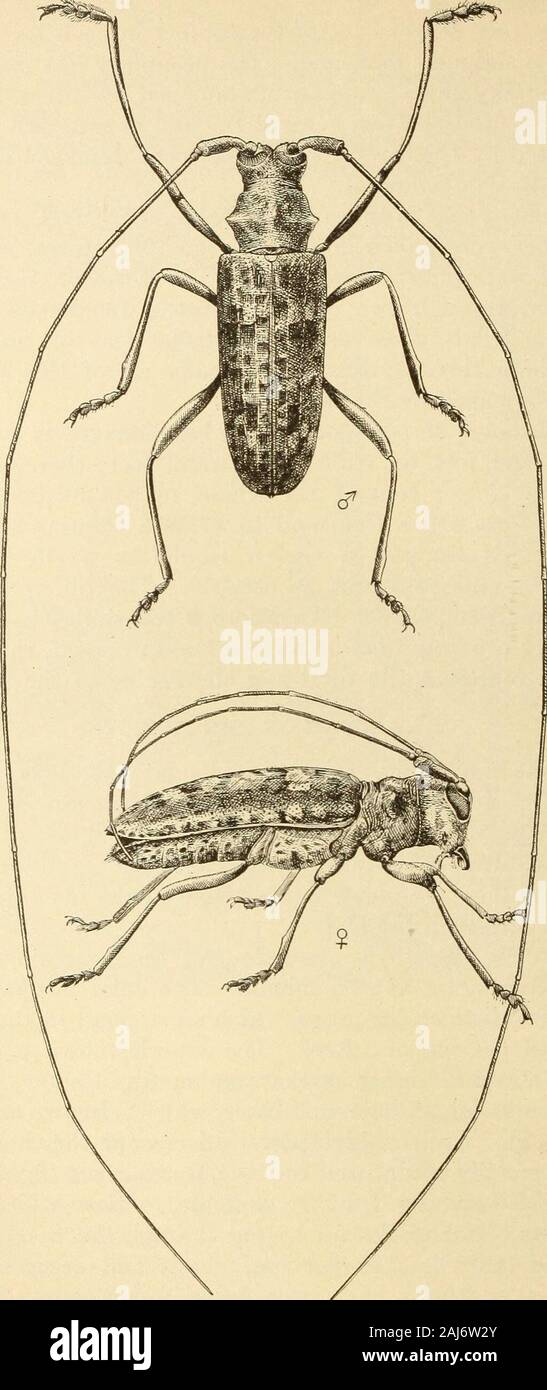 1 5mm hi-res stock photography and images - Alamy