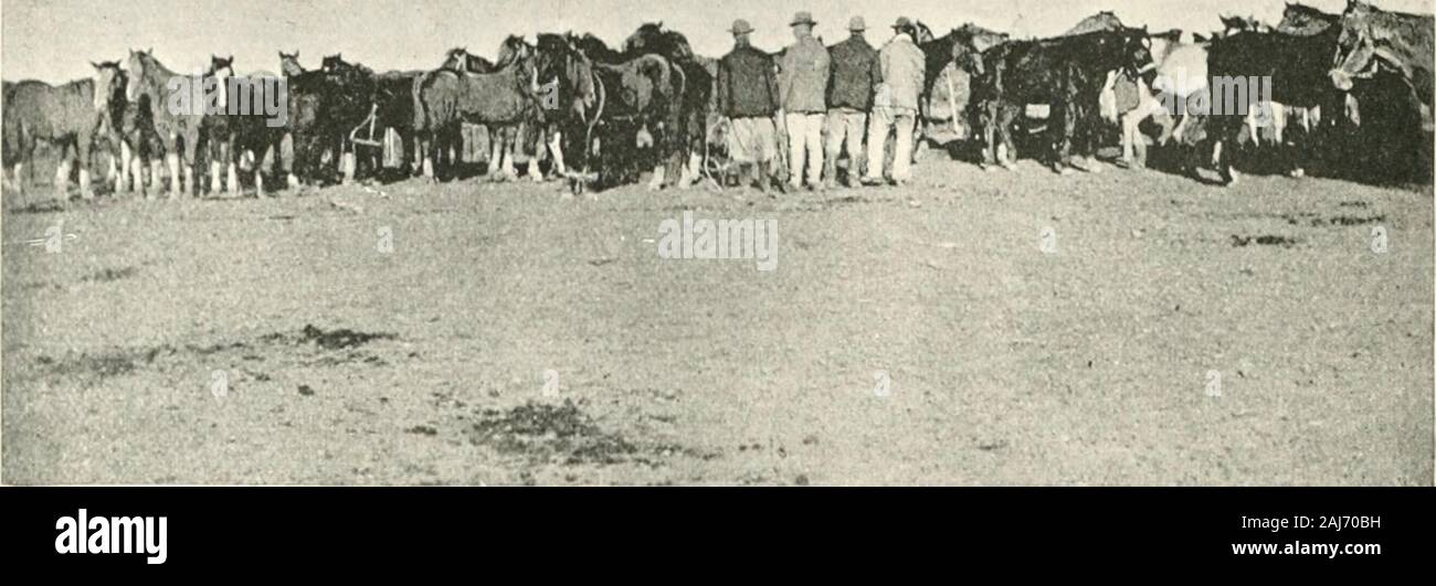 Keep within compass hi-res stock photography and images - Alamy