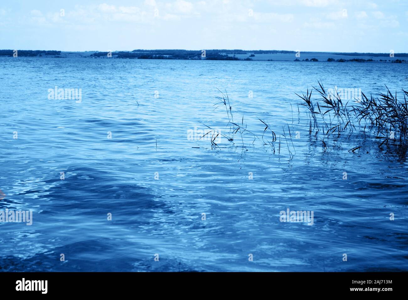 Classic blue 2020. Gradient color palette. River view from the shore ...