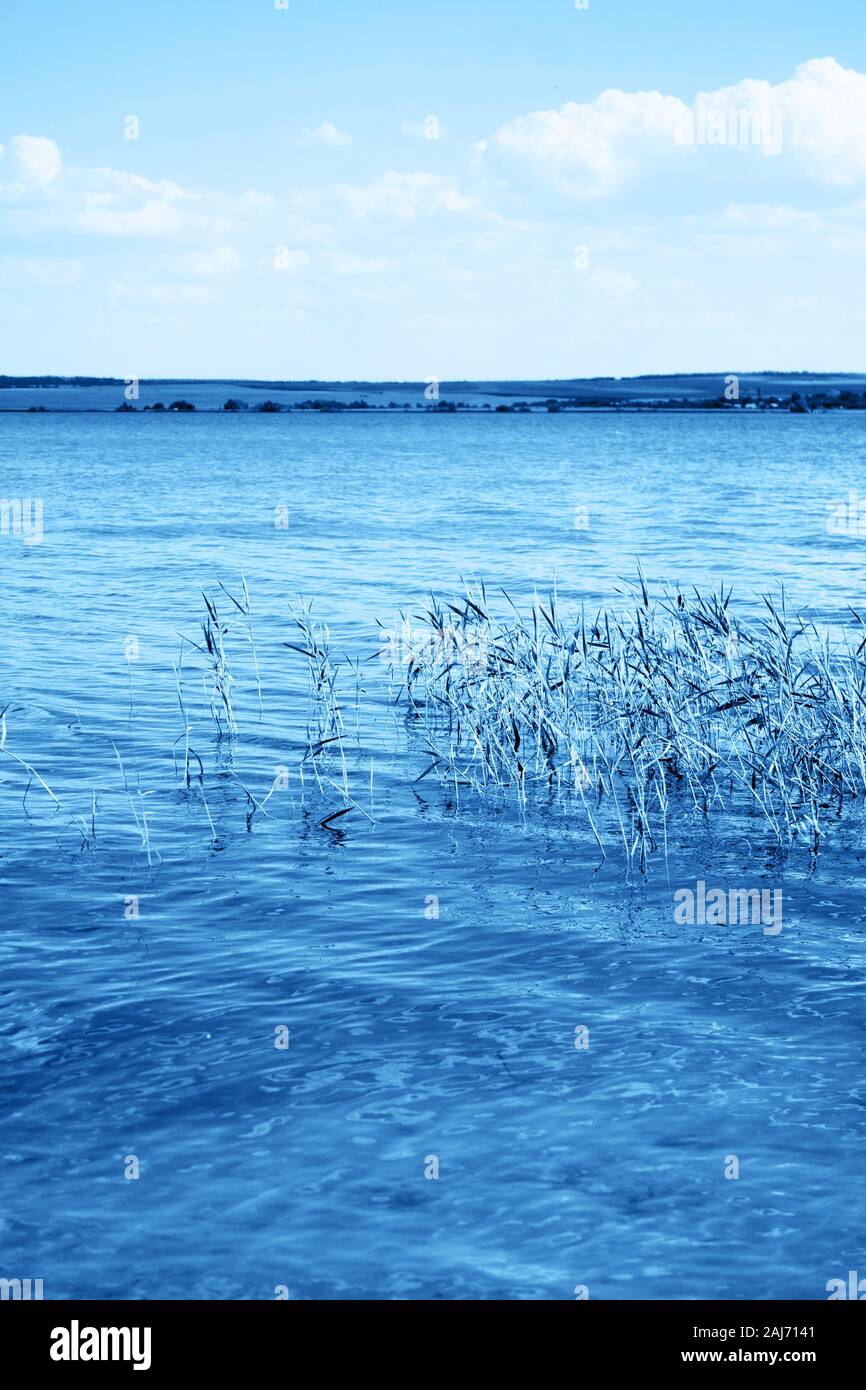 Classic blue 2020. Gradient color palette. River view from the shore ...