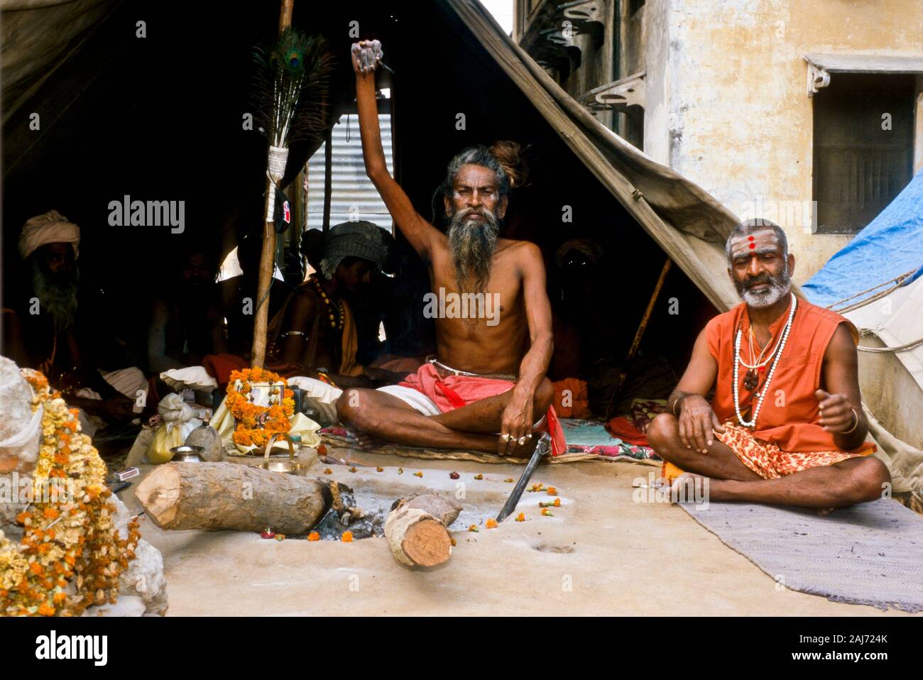 Sadhu practicing the Amar Bharti Tapa, raising his arm for 12 or more ...