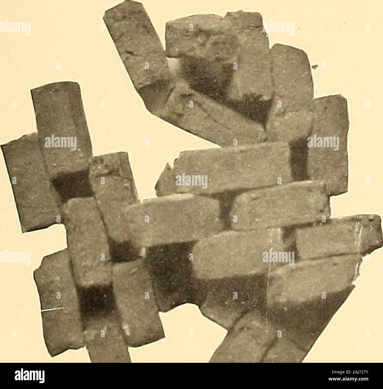 The Philippine journal of science . Fig. 1. Vertical and rotary cement l