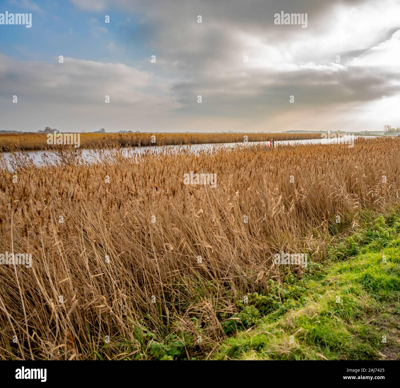 View over the River Yare in Acle on the Norfolk Broads Stock Photo - Alamy
