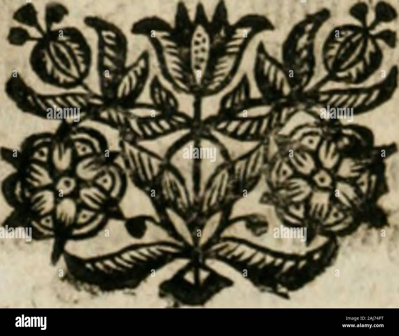 Priemen hi-res stock photography and images - Alamy