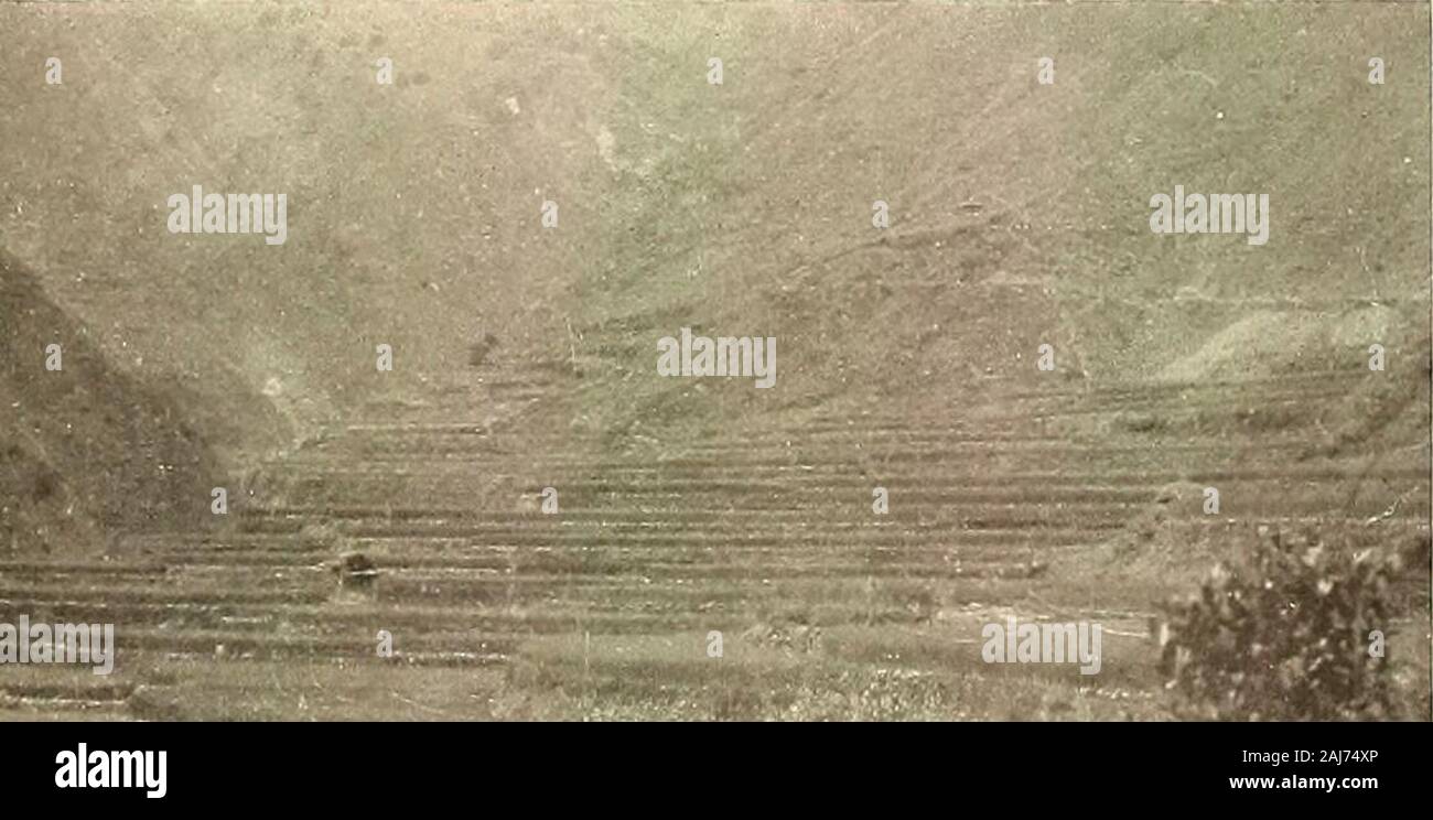 Agno hi-res stock photography and images - Alamy