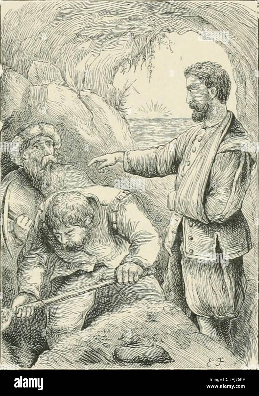 Escaped from captivity hi-res stock photography and images - Alamy