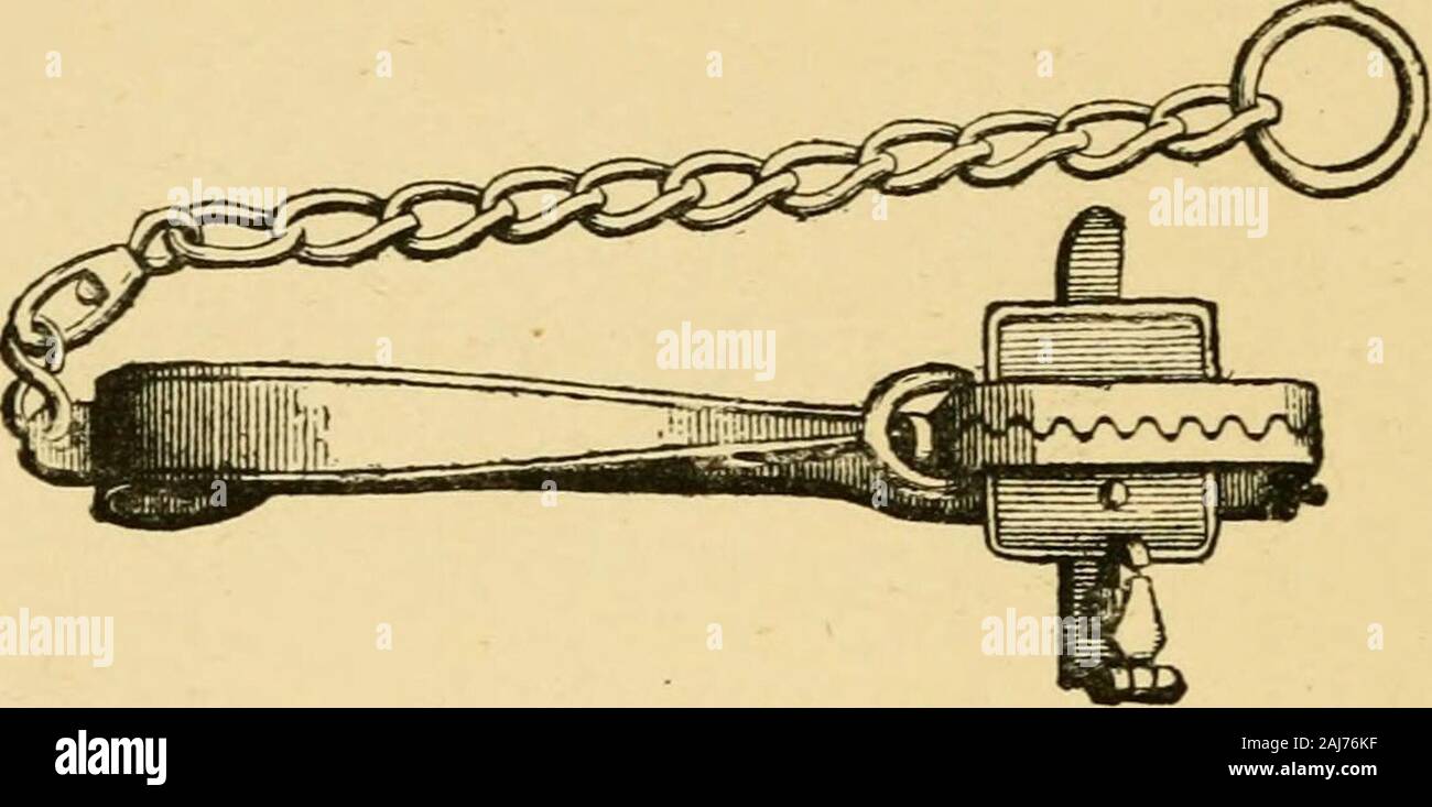 Vermin traps hi-res stock photography and images - Alamy
