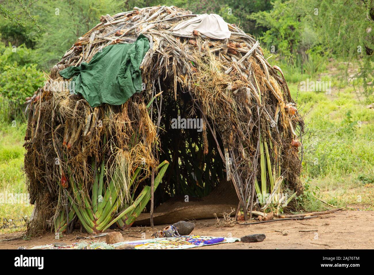 Indigenous cabin of the Hadzabe ethnic group in north-central Tanzania ...