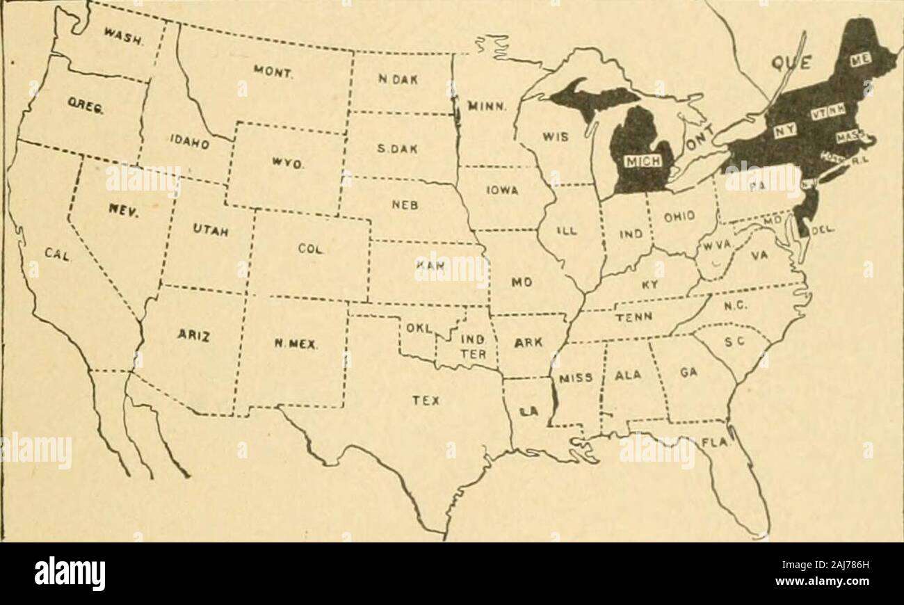 Triumphs and wonders of the 19th century, the true mirror of a ...