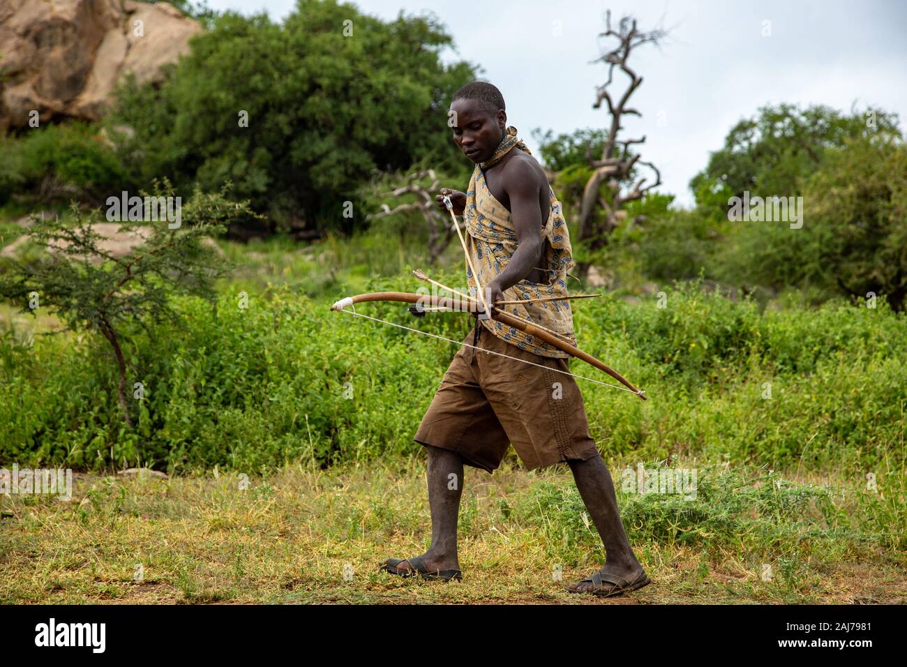Hunters with bows and arrows of the Hadzabe indigenous ethnic group in ...